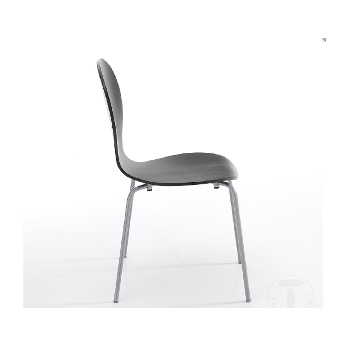 Chair Baldi Black 4 Pieces - Tomasucci
